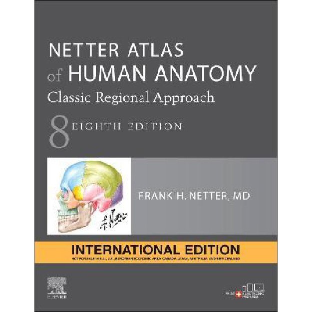 NETTER Atlas of Human Anatomy | הזמנת אטלס נטר - ידע ספרים